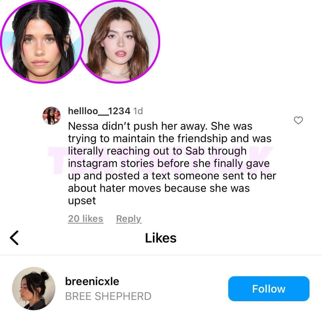 Looks like Nessa Barrett, Bree Nicole, Parker Noriega, Sabrina Quesada ...