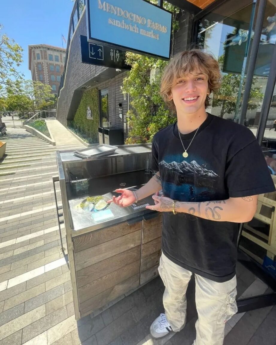 Vinnie Hacker Tattoo - Age, Height, Olivia Rodrigo, TikTok, Shocking ...